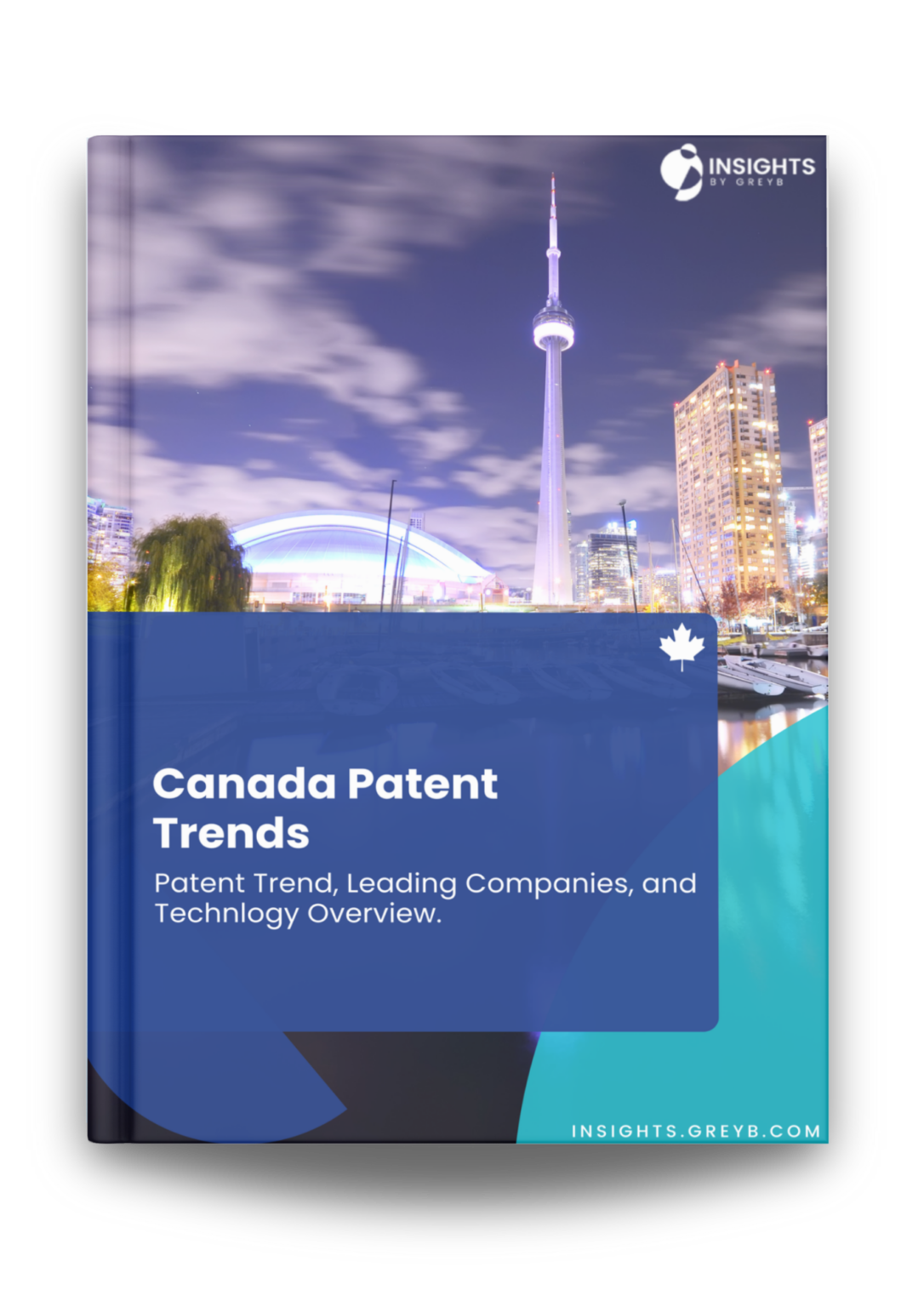 US Patent Litigation Trends in Last 5 Years (2020 – 2025)